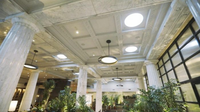 Biophilic Office Design: How to Bring Nature into your Building - Solatube